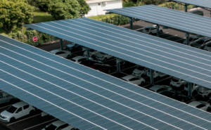 Solaire : la DGEC fait preuve d’une grande prudence sur les appels d ...